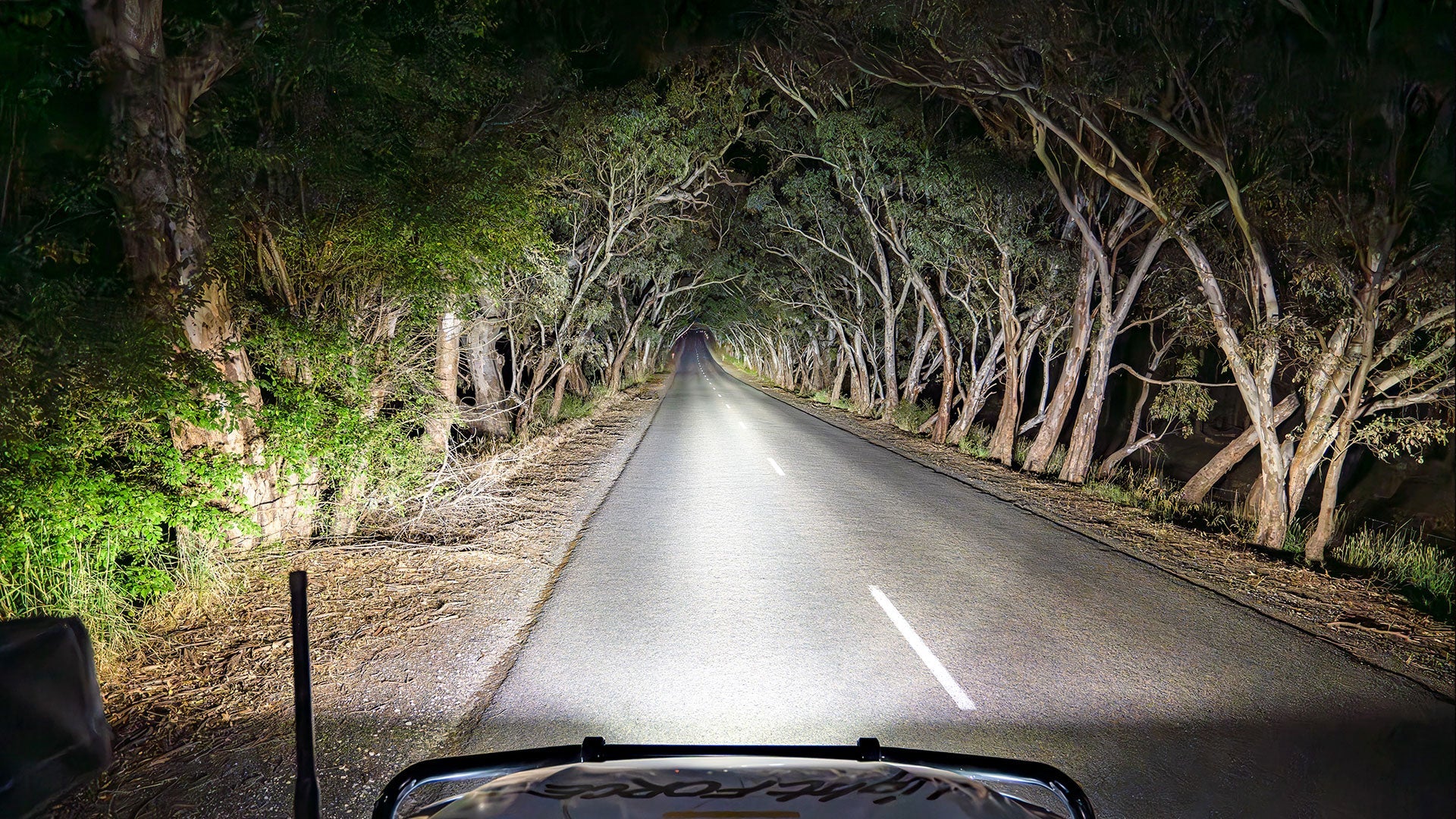 LIGHTFORCE Beast 3 Mode Led Driving Light - BEAST230PK - TJM Northern ...